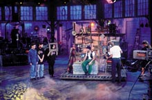 The Website of Diane Stapleton - Curriculum Vitae